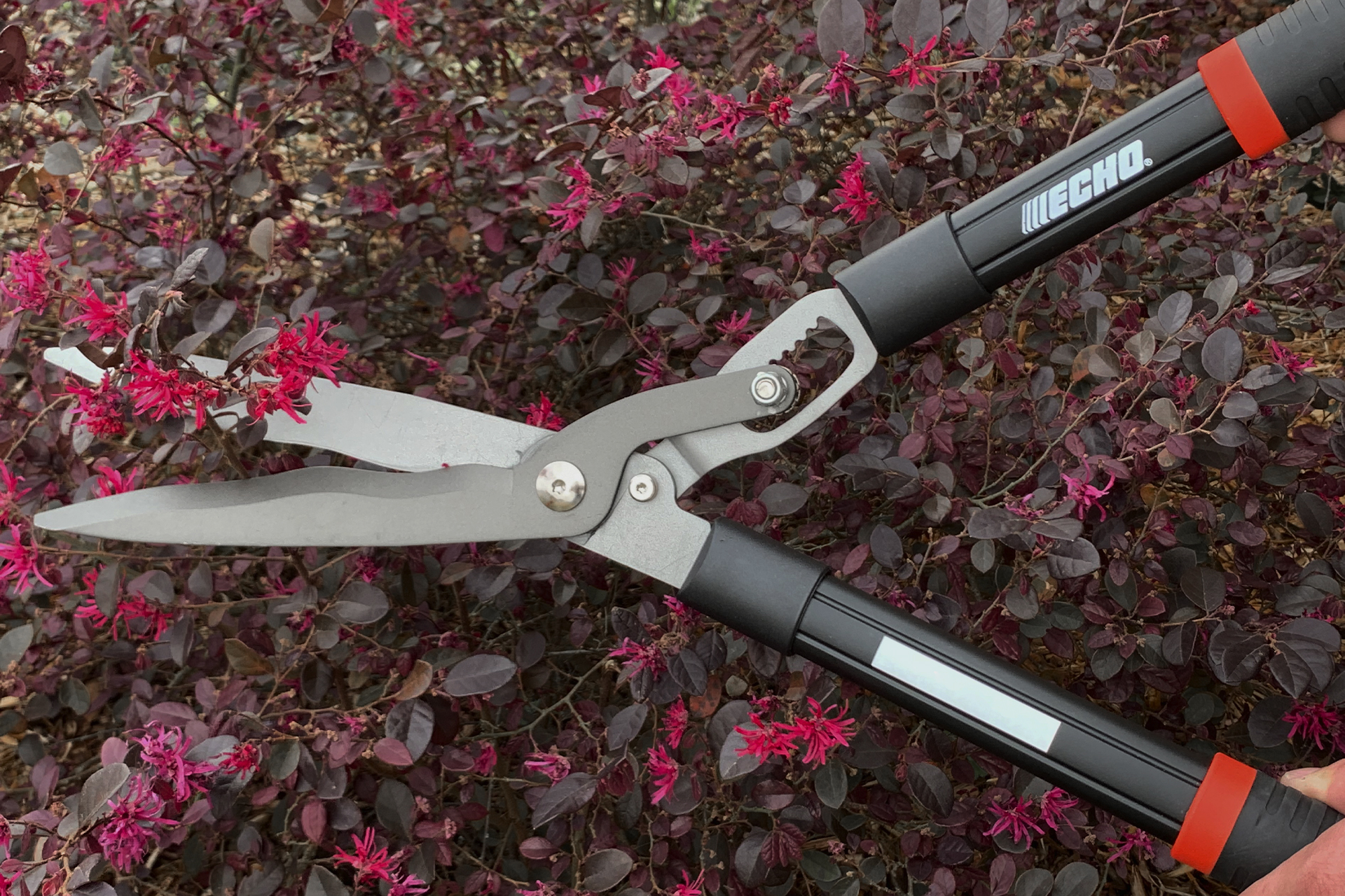 Hedge Shears | ECHO-USA.com