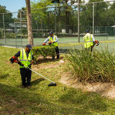 Must-Have Equipment for a Landscaping Business | ECHO